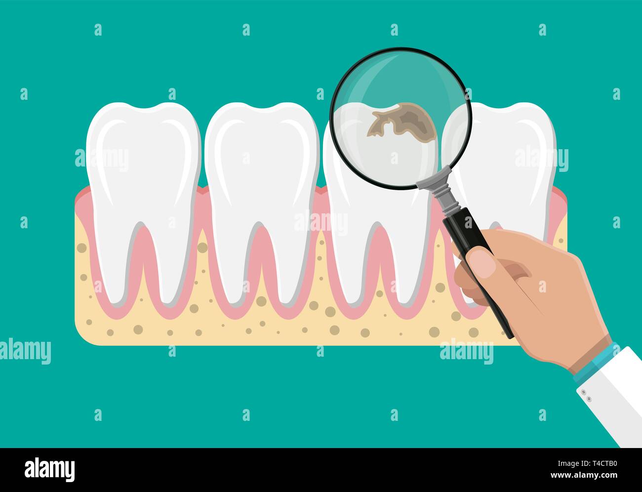 Dentist with magnifying glass examines teeth. Tooths icon with gum ...