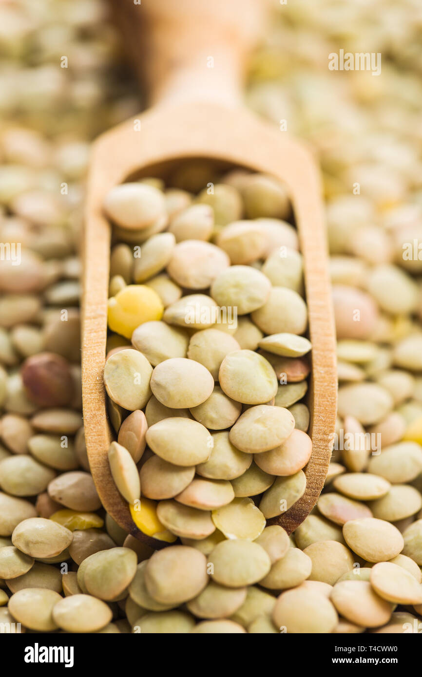 Uncooked dried lentil in wooden scoop Stock Photo - Alamy