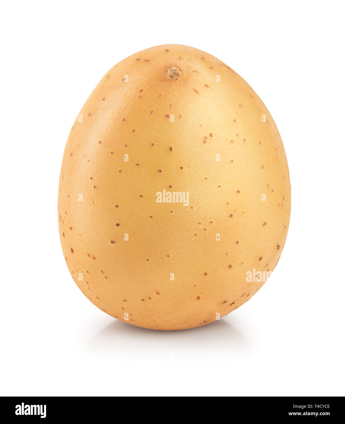 Young potato isolated on white background. Harvest new Stock Photo - Alamy