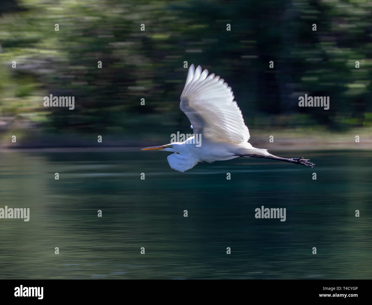 Grace rainbow hi-res stock photography and images - Alamy