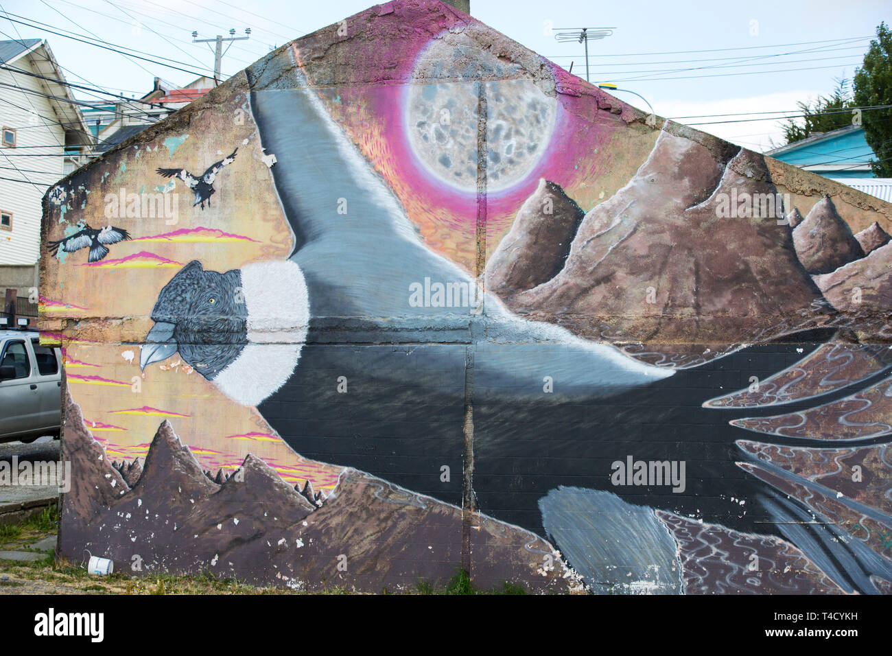 A mural of a Andean Condor, Vultur gryphus on a building in Punta ...