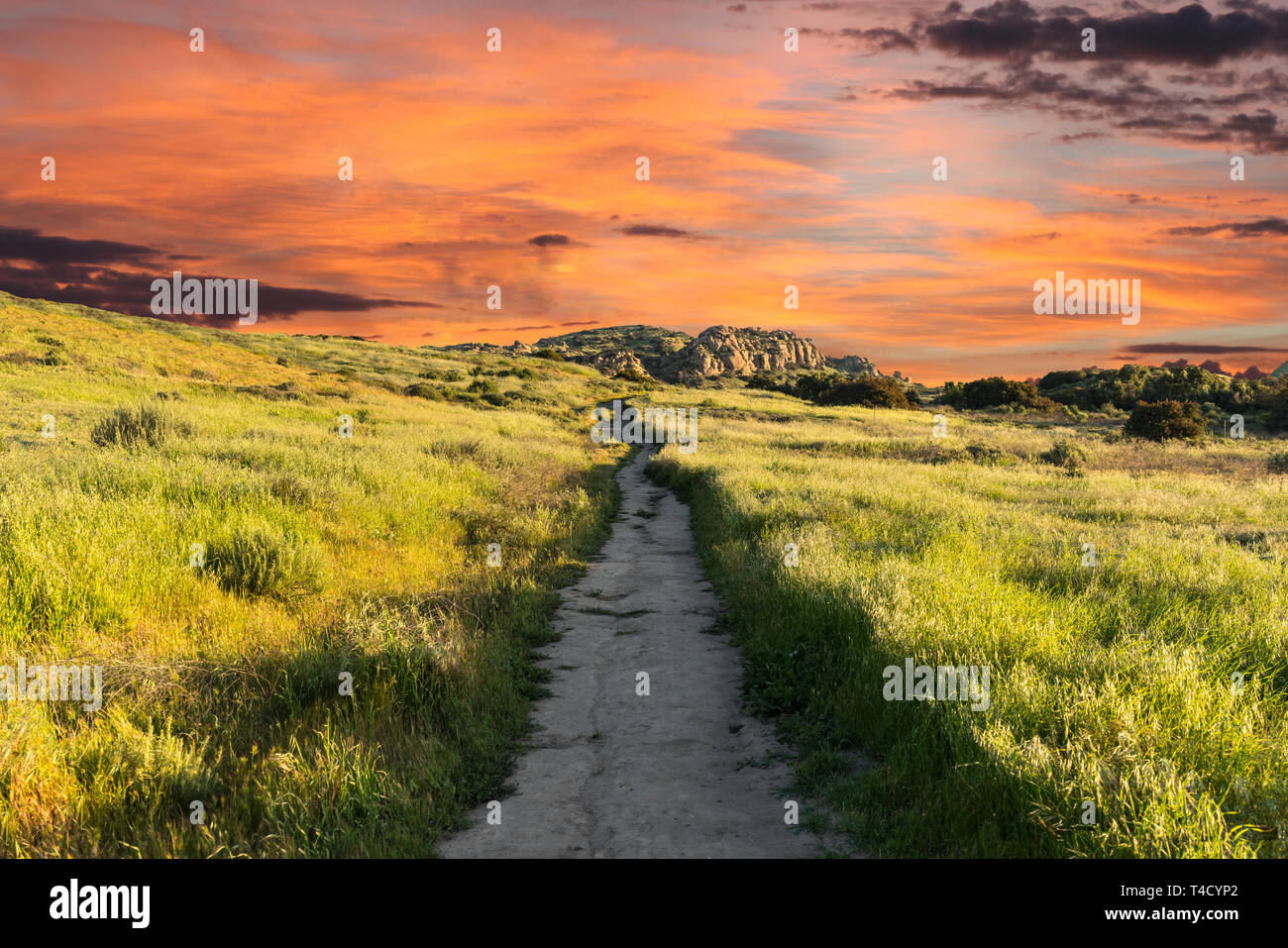 San Fernando Valley spring mountain trail with sunrise sky at Santa ...