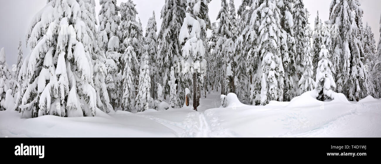 Wenatchee national forest hi-res stock photography and images - Alamy