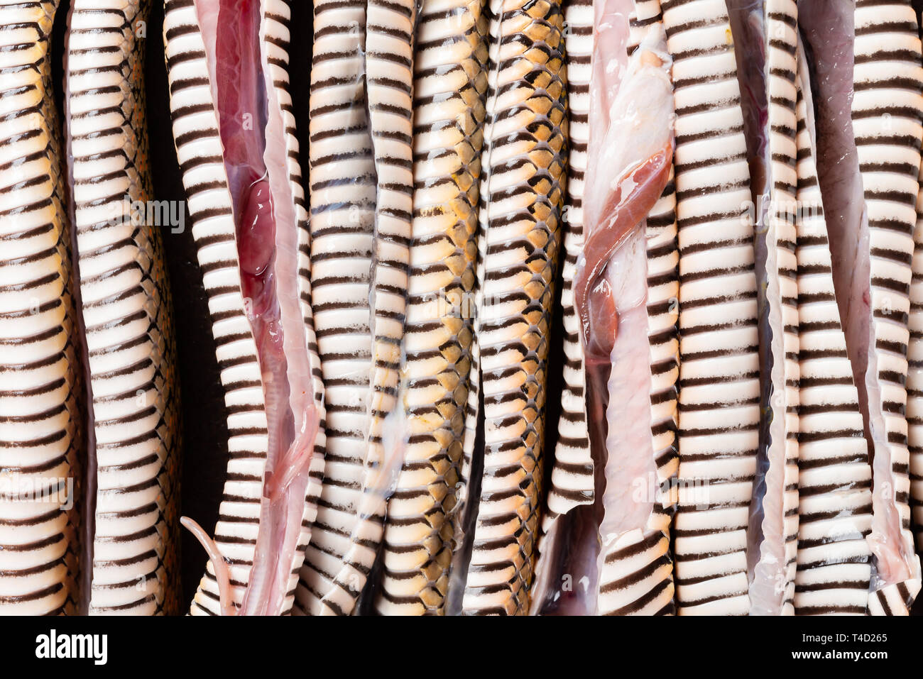 stomaches of cutout snake lined up vertically Stock Photo - Alamy