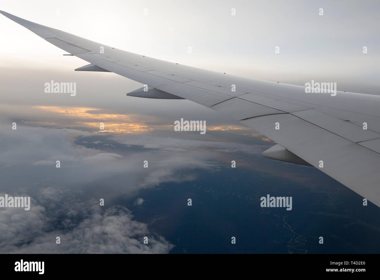 A plane flying over the Amazon rainforest looking down on a meandering ...