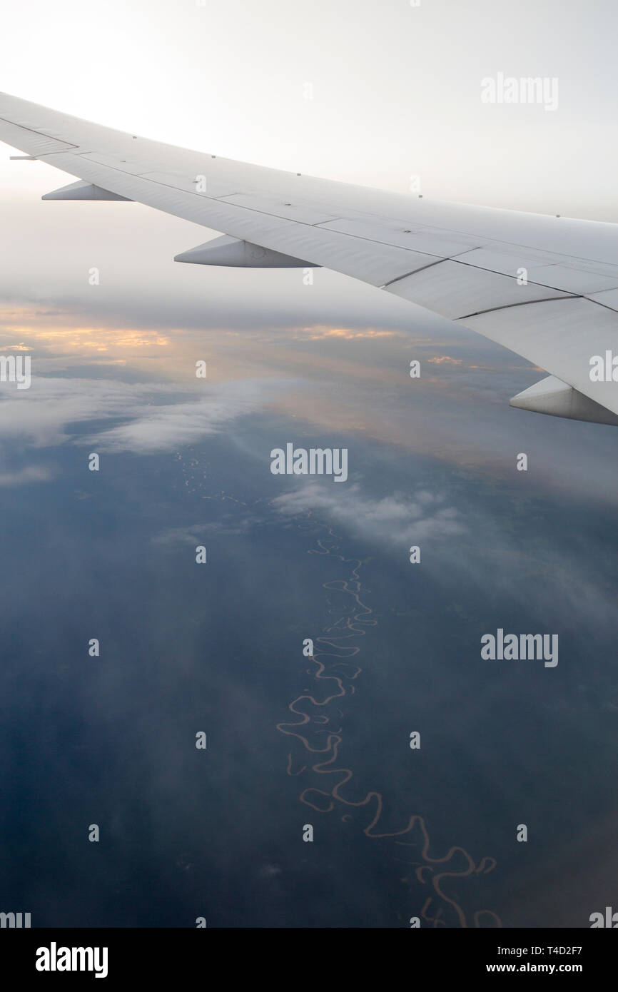 A plane flying over the Amazon rainforest looking down on a meandering ...