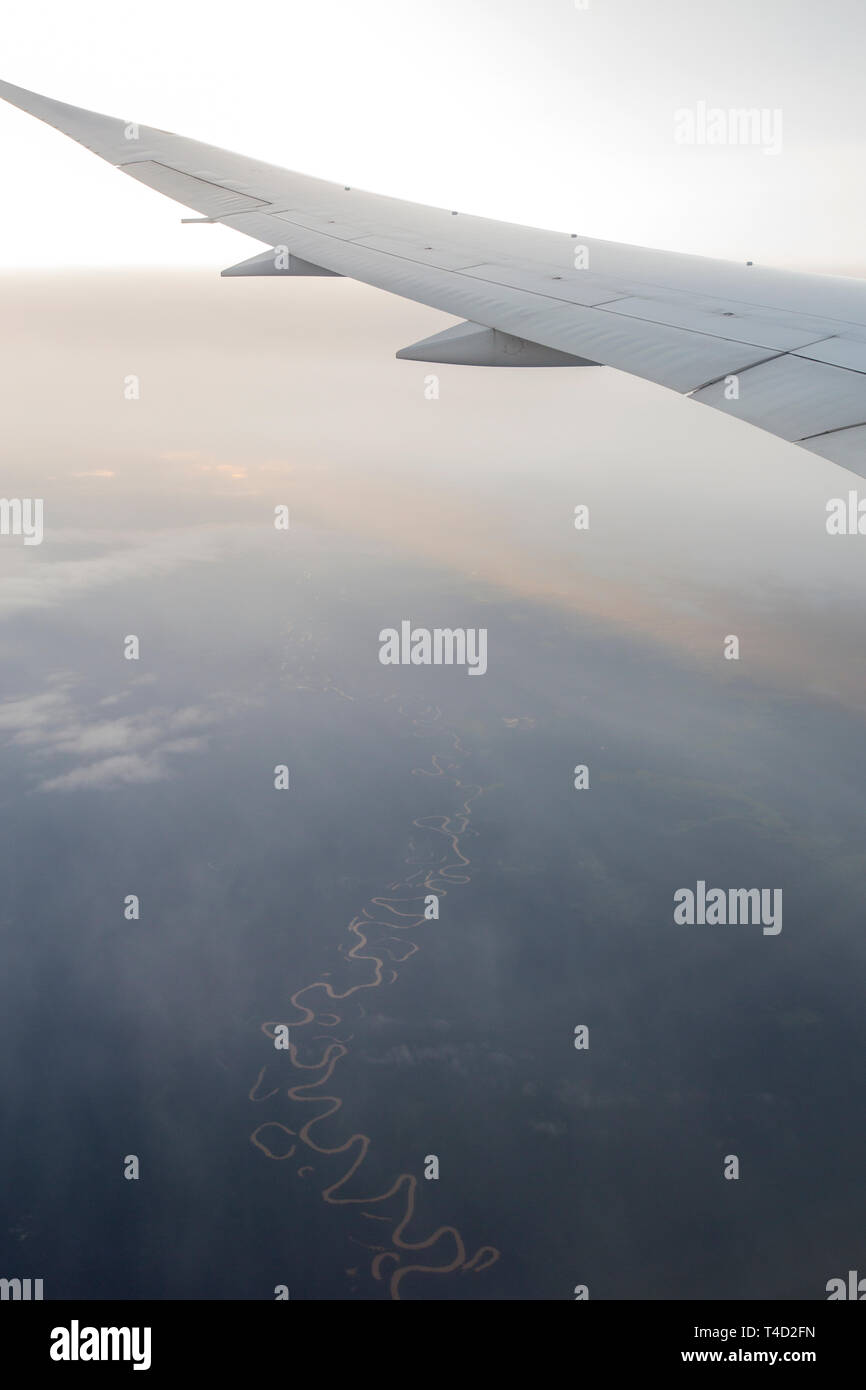 A plane flying over the Amazon rainforest looking down on a meandering ...