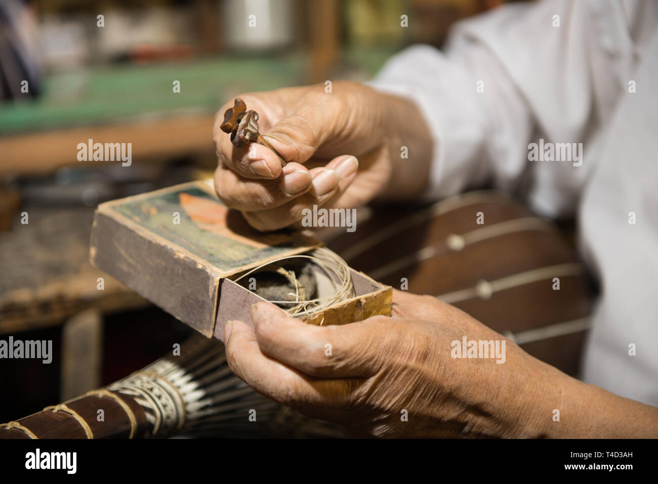 adult master restores old musical instruments. production of stringed ...