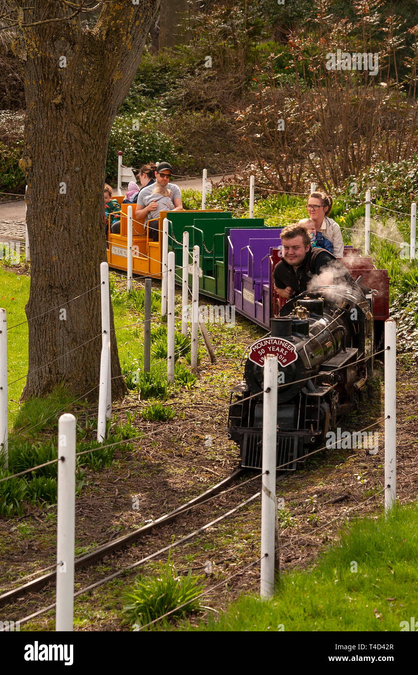 Miniature railway steam engine south shields hi-res stock photography ...