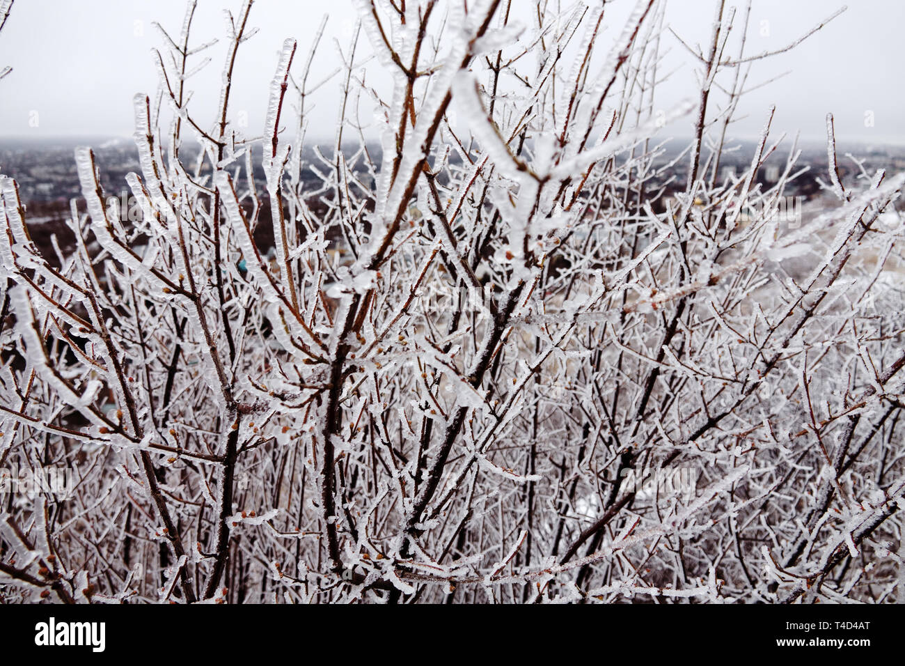 Natural disaster in form of ice rain came to southern region of Eastern ...