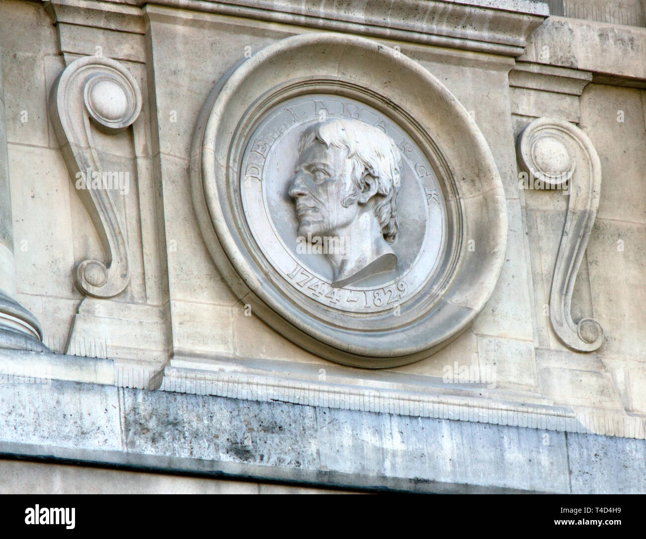 Ancient bas-reliefs on the Windows, walls of historical buildings ...