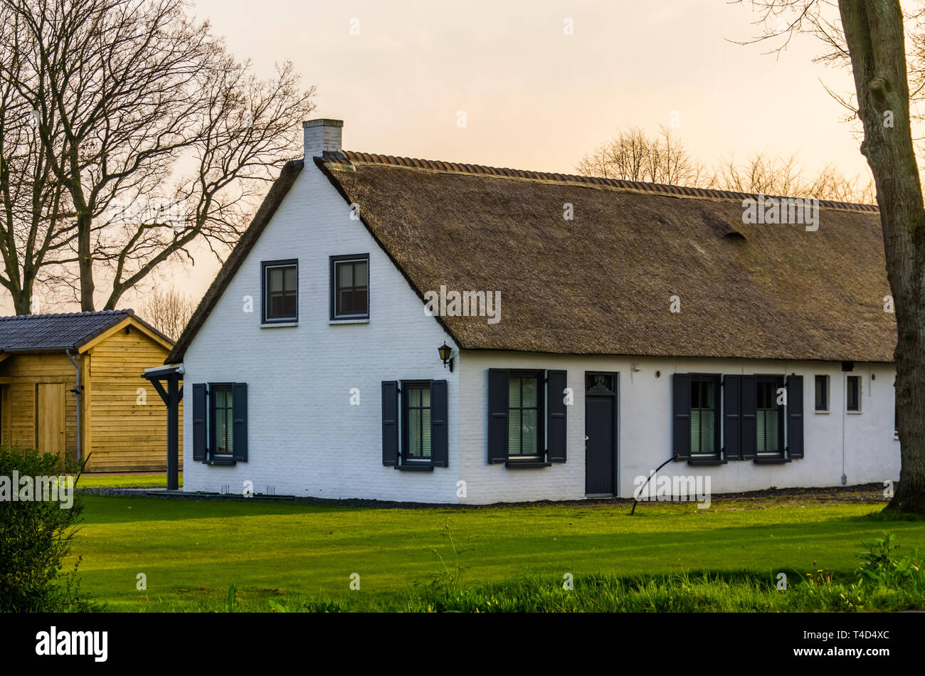 classical dutch farmer house with a thatched roof, Architecture at the ...