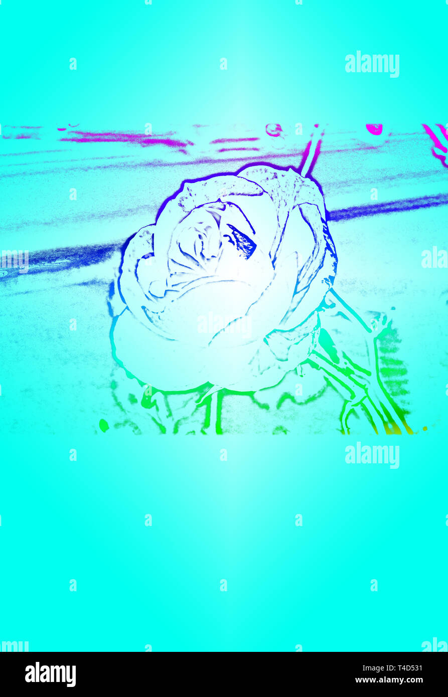 Illustration a flower with simple colors Stock Photo - Alamy