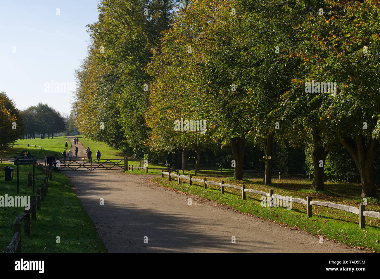 Entrance lane to Cowdray Park in Midhurst, West Sussex, England Stock ...