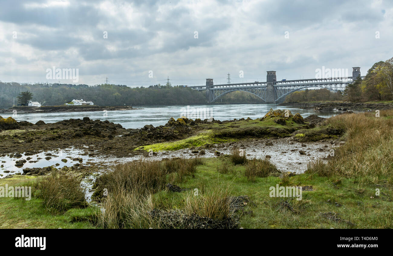 Britannia bridge anglesey spring hi-res stock photography and images ...