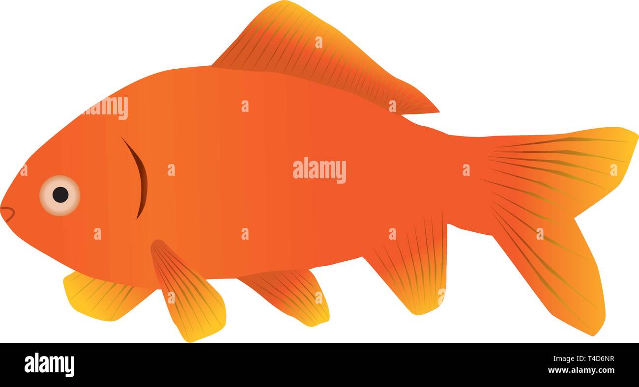 With fish prey Stock Vector Images - Alamy