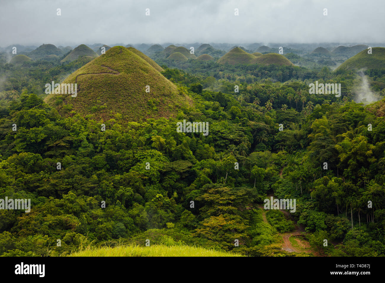 The mystical view of the Chocolate Hills in rainy weather, Bohol ...