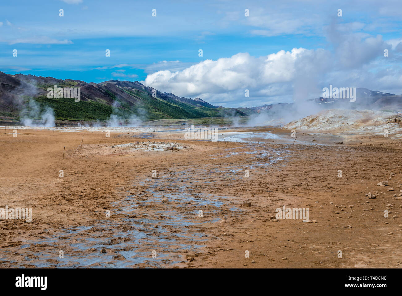 Hot springs in Namaskard geothermal area also called Hverarond near ...