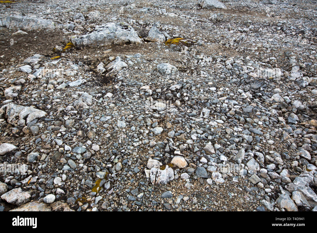 Patterned ground, caused by freeze thaw cycles at Frei station on King ...