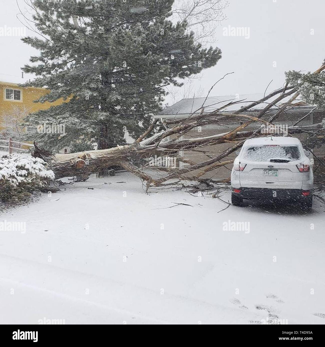 Bomb cyclone 2019 hi-res stock photography and images - Alamy