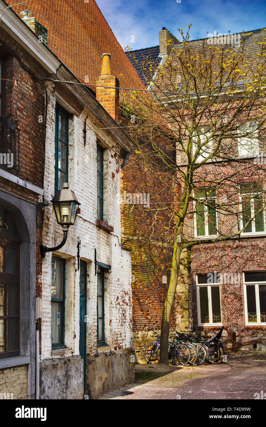 Patershol gent hi-res stock photography and images - Alamy