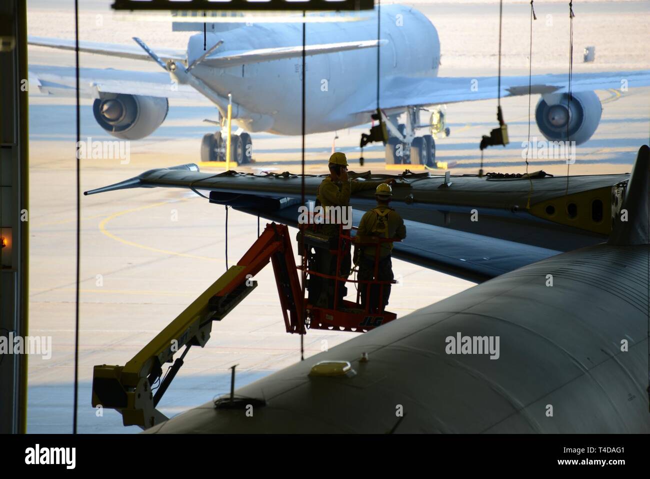 Foot tail fin hi-res stock photography and images - Alamy