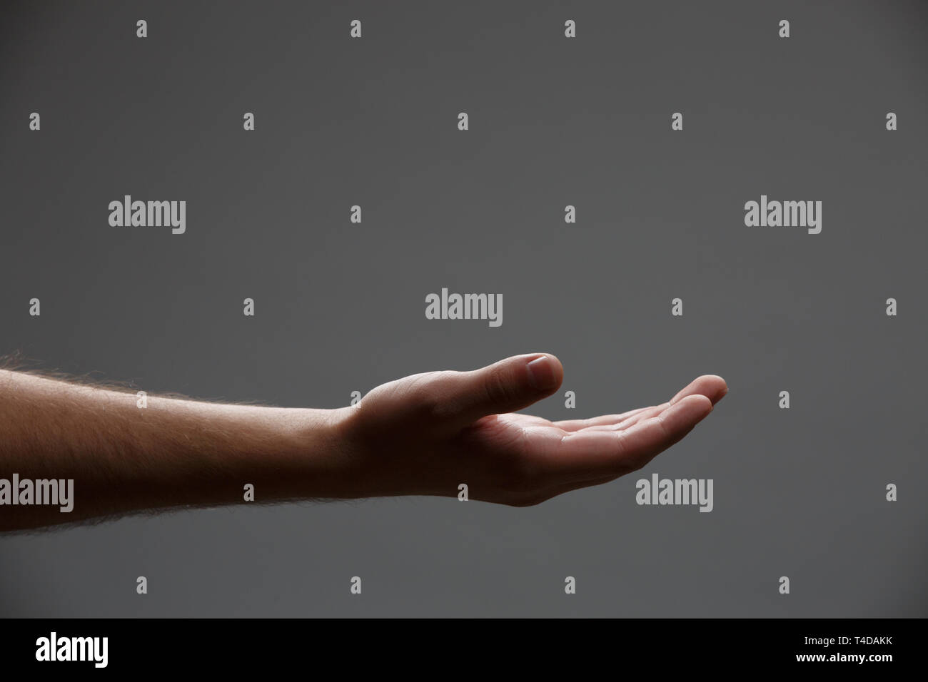 Photo of outstretched hand palm up on empty gray background Stock Photo ...