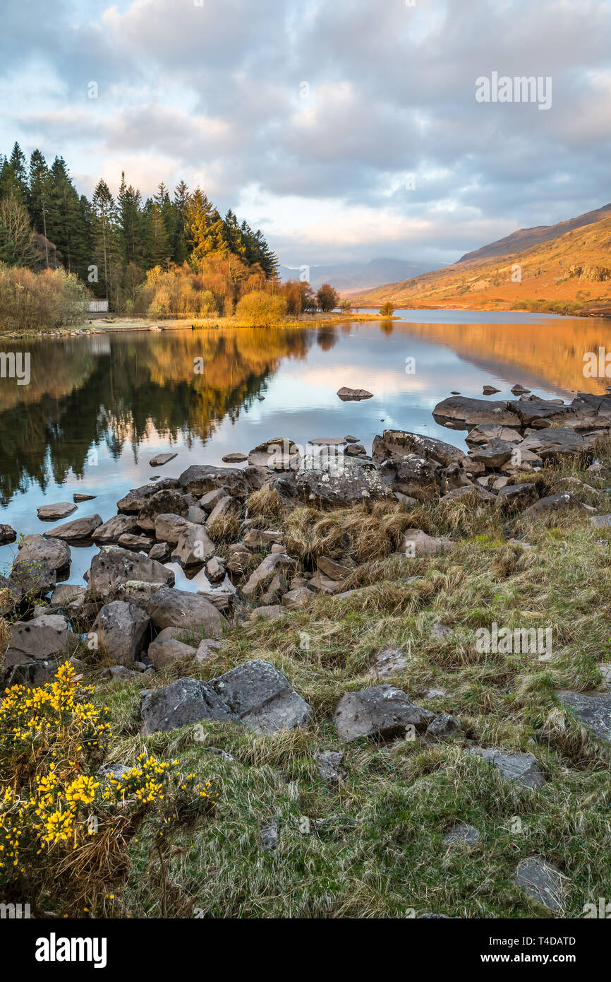 Parc y llyn hi-res stock photography and images - Alamy