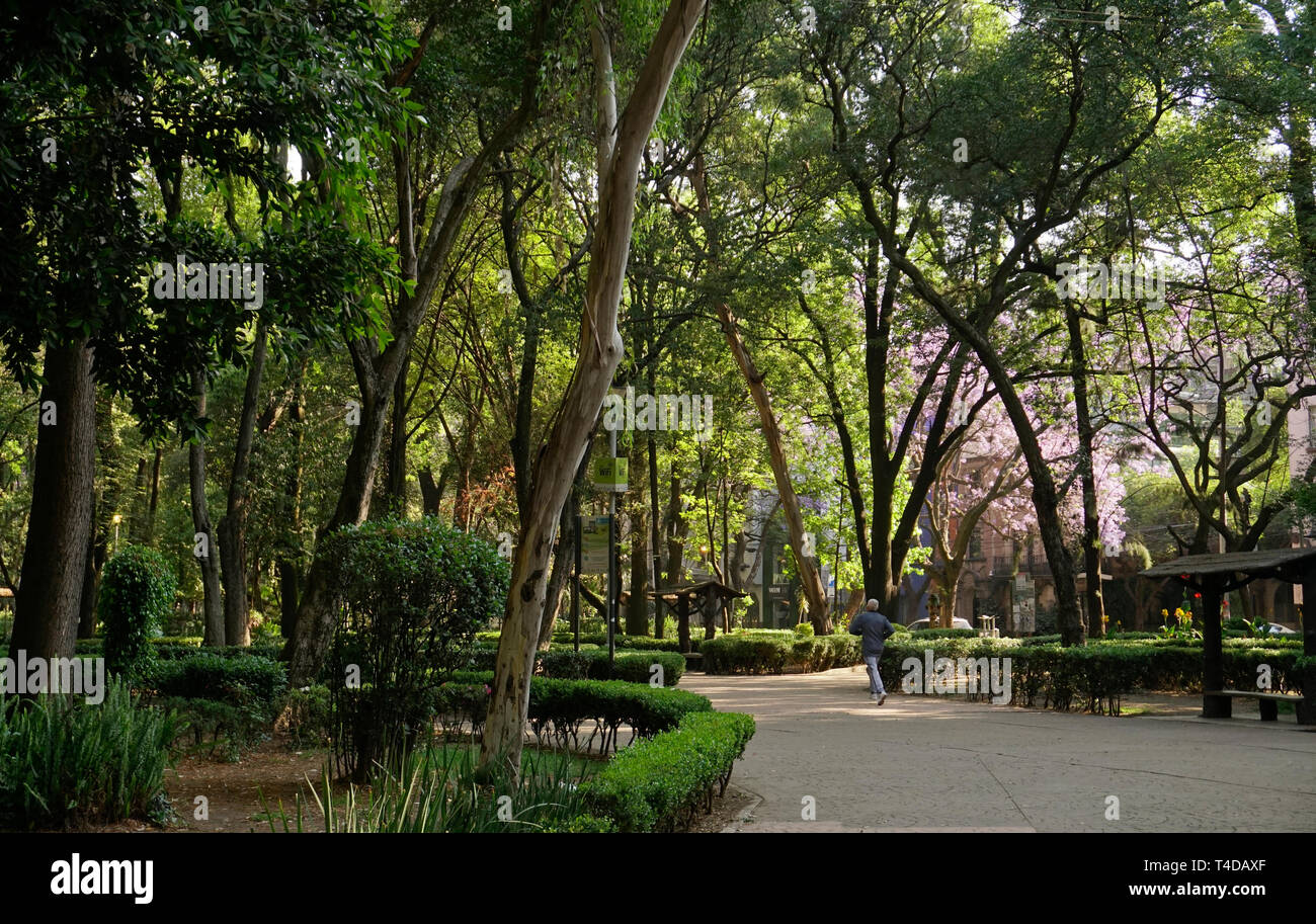 Parque Mexico, Mexico City, Mexico Stock Photo - Alamy