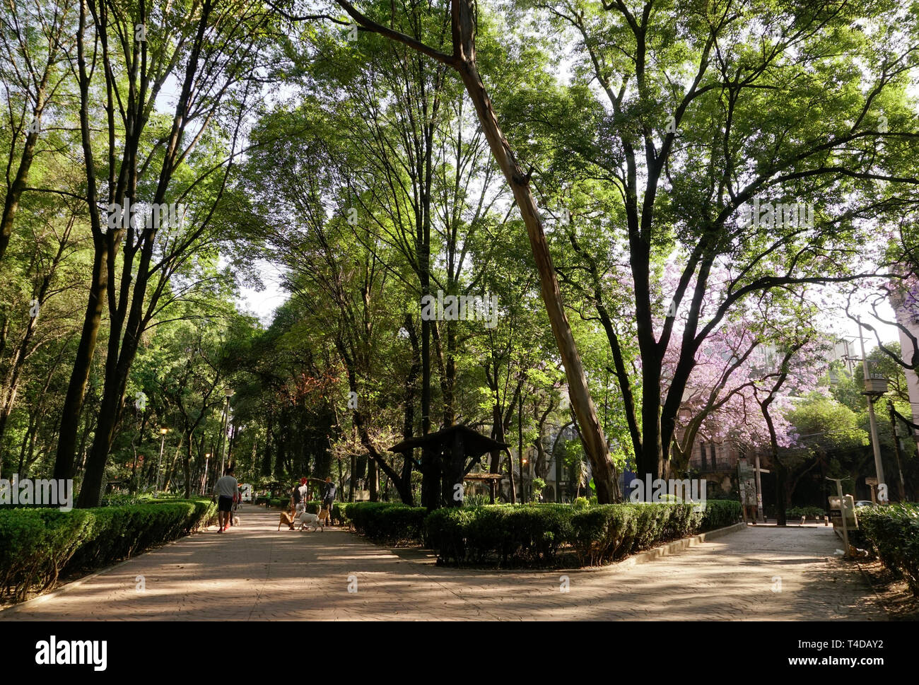 Parque oasis hi-res stock photography and images - Alamy