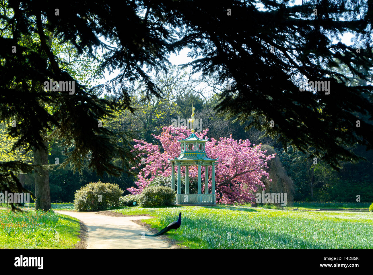 Parc de bagatelle paris hi-res stock photography and images - Alamy