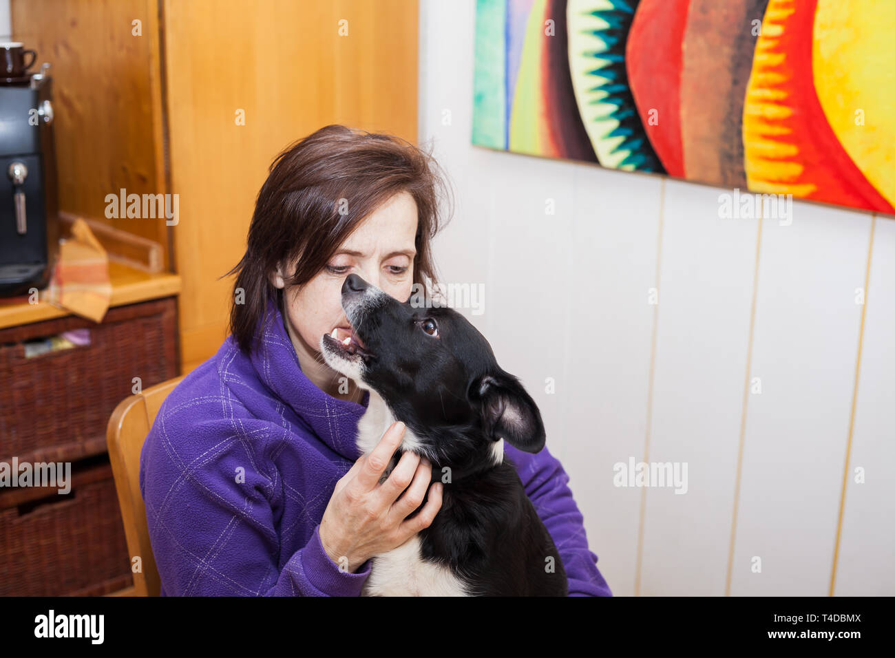 Woman with barking dog on her lap Stock Photo - Alamy