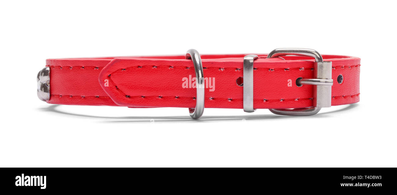 Small Red Leather Dog Pet Collar Front View Isolated on White ...