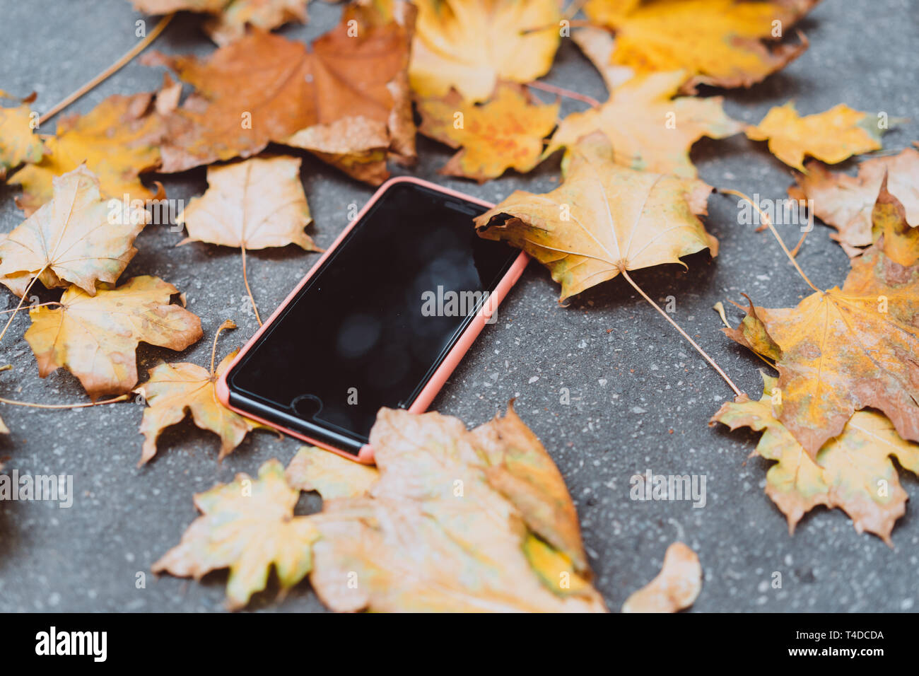 The smartphone lying on the ground in the fall Stock Photo - Alamy