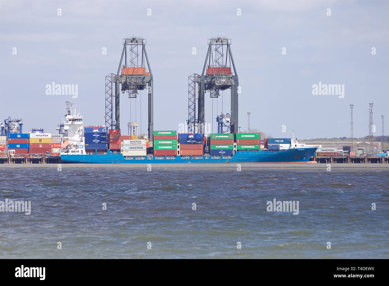 Container ship Fenja docked at Trinity Terminal, Port of Felixstowe ...