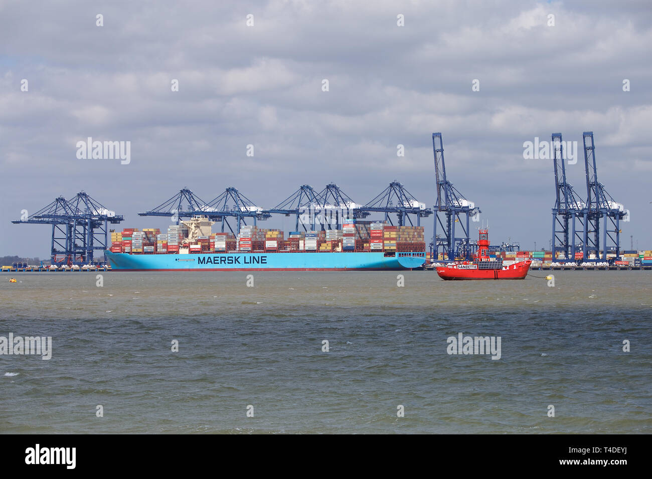 Container ship Maersk Hanoi docked at Trinity Terminal, Port of ...