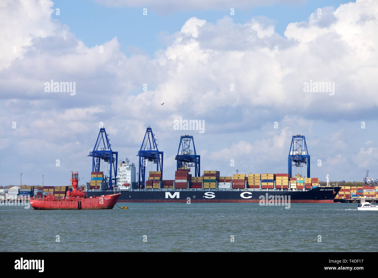 Container ship MSC Alicante docked at Trinity Terminal, Port of ...
