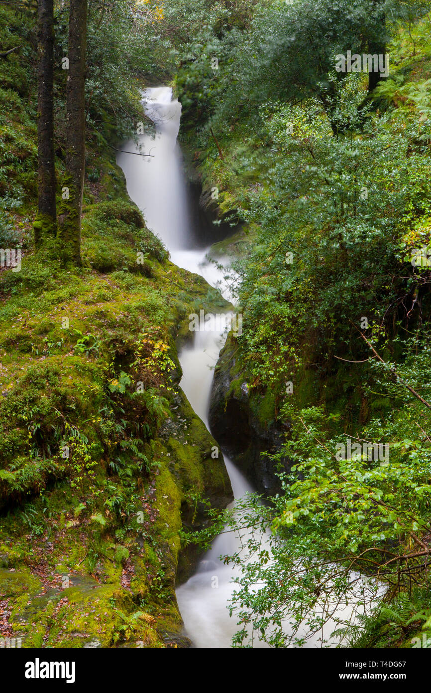Spate hi-res stock photography and images - Alamy