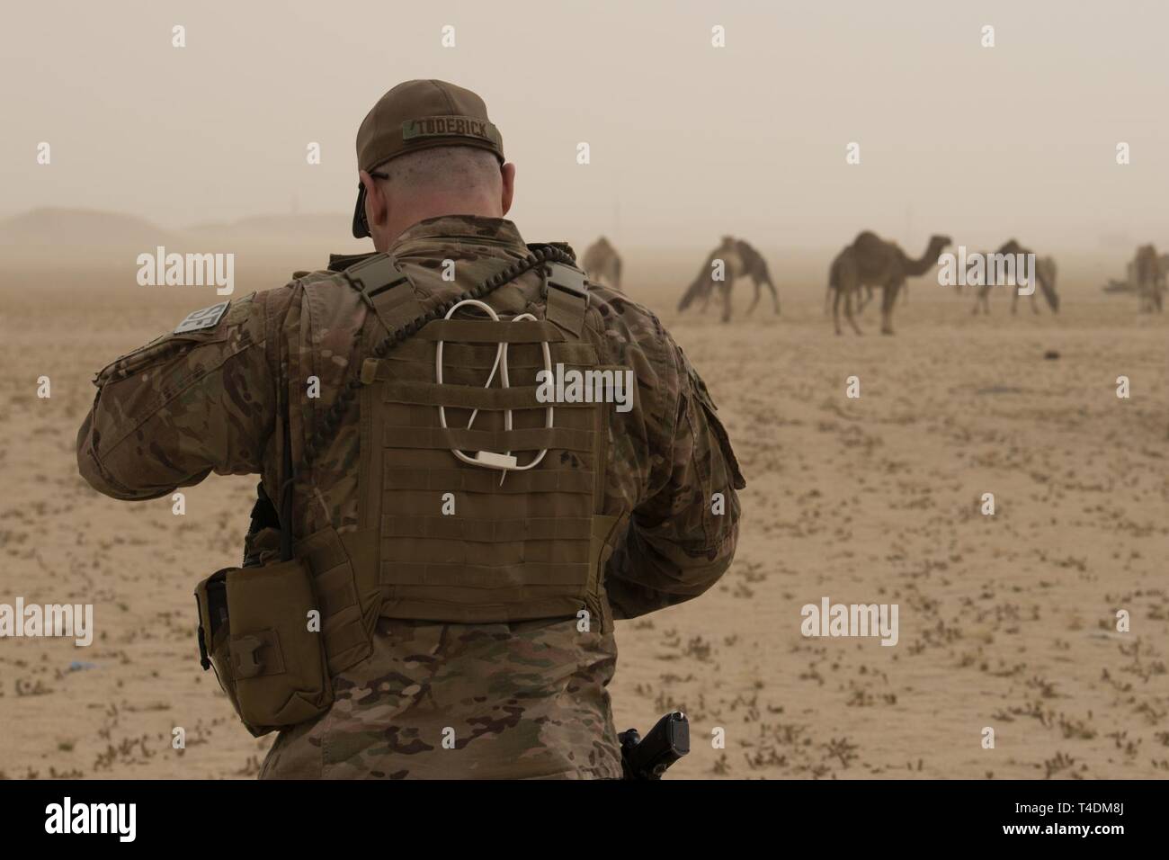 386 esfs hi-res stock photography and images - Alamy
