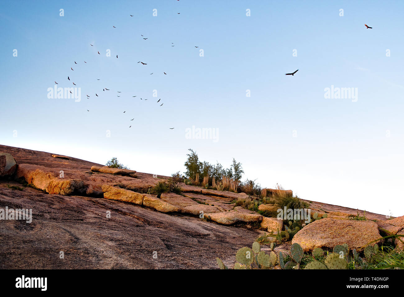 Pink granite hillside hi-res stock photography and images - Alamy