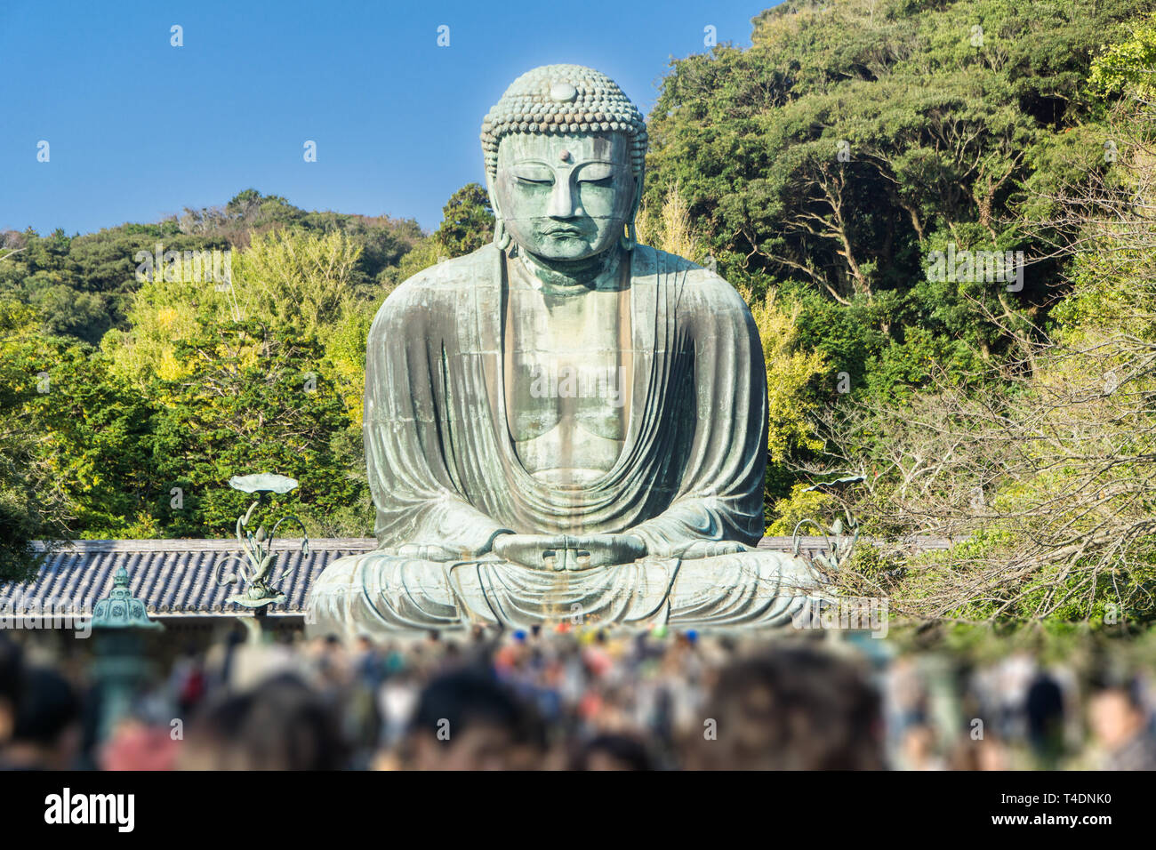 The great buddha kamakura daibutsu statue,amida nyoyurai in kotoku-in ...