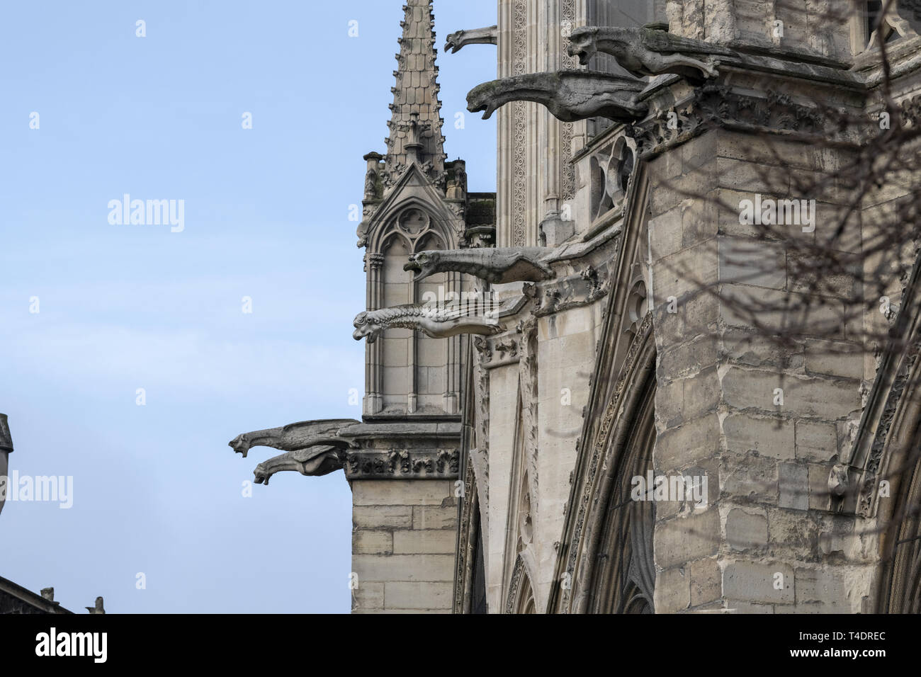 Gothic Gargoyles On Buildings