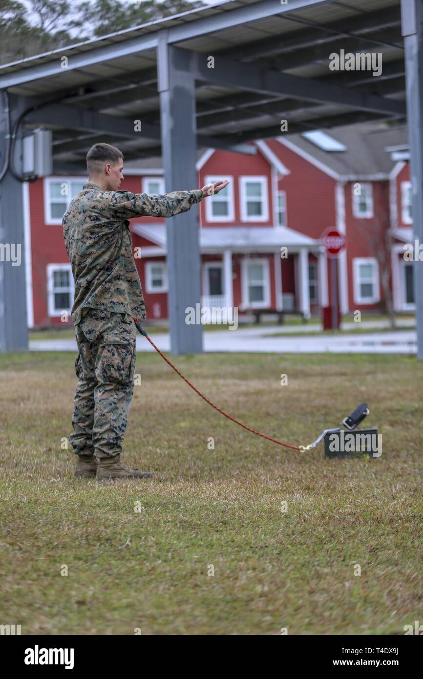 How Do You Become A Dog Handler In The Army