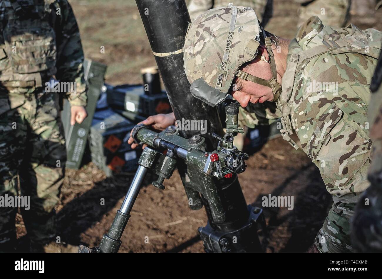 Eagle sokol 19 hi-res stock photography and images - Alamy