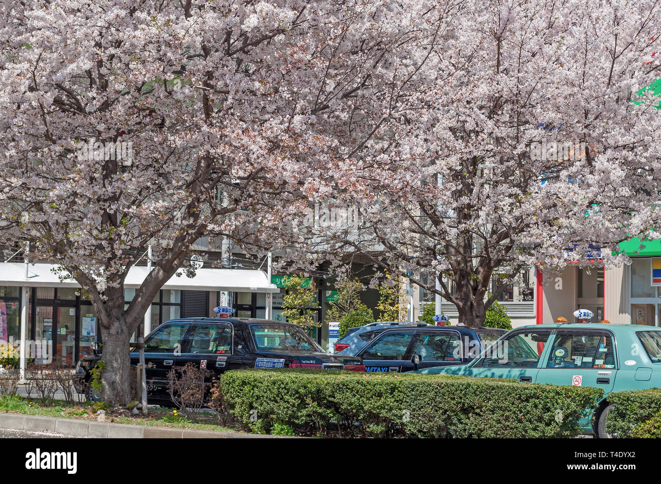 Nagareyama, Chiba, Japan - April ‎6, ‎2019: A group of taxi are waiting ...