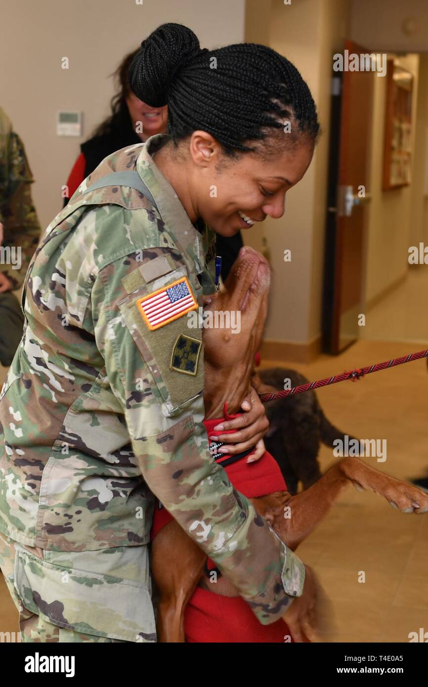 Military Intelligence Officer