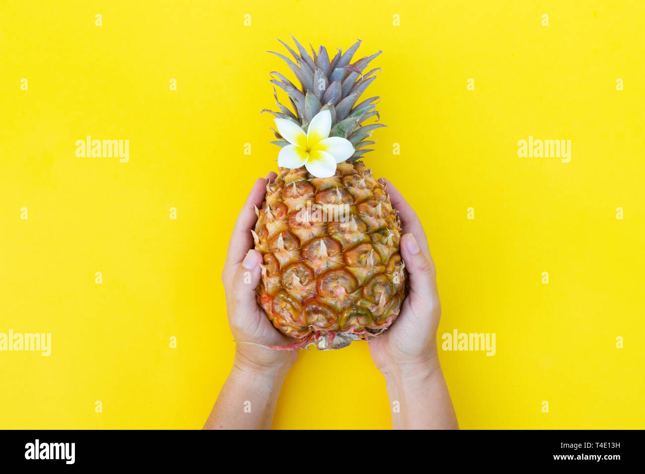 pineapple fruit, minimal style Stock Photo - Alamy