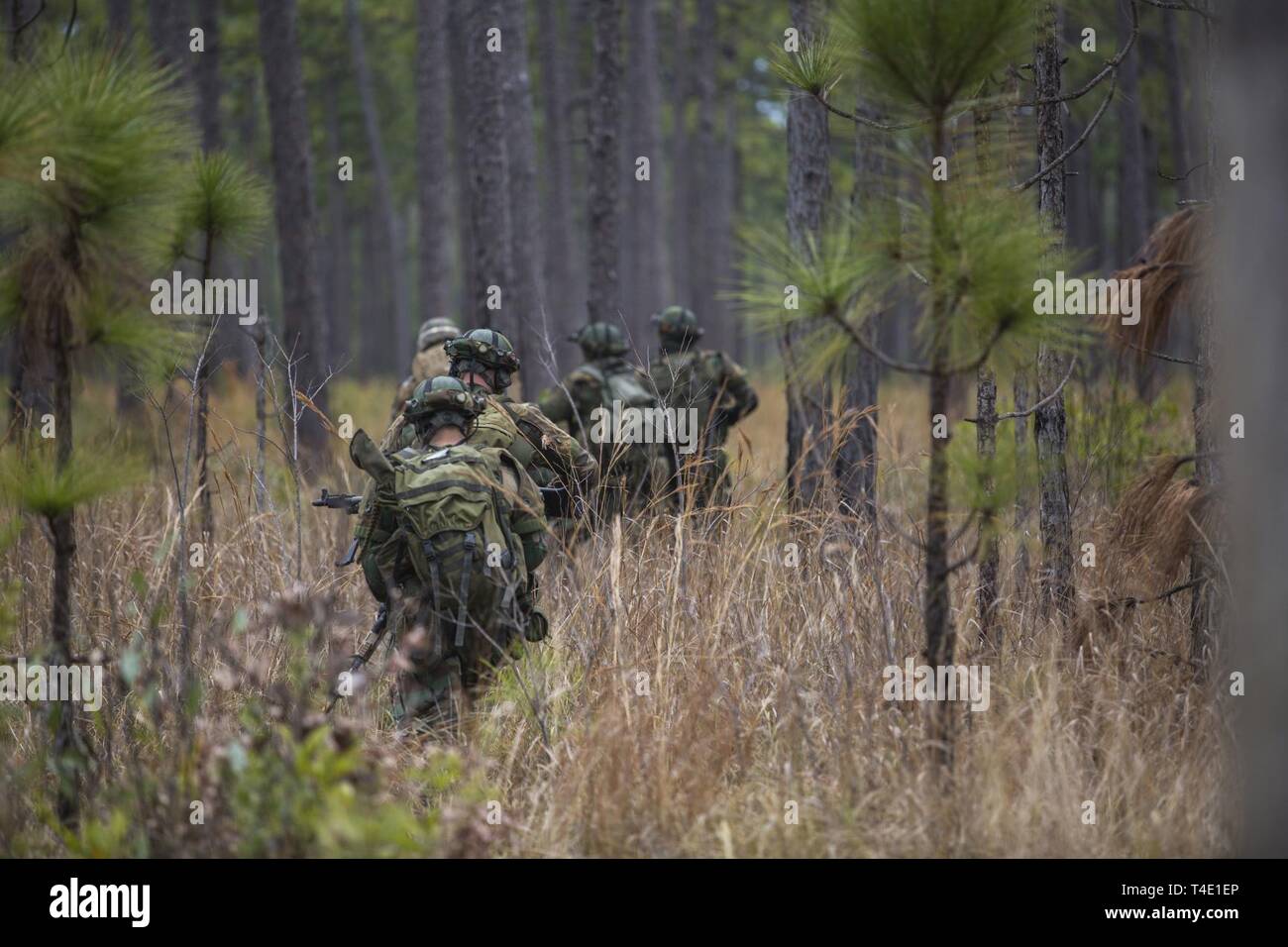 U.S. Marine Sgt. Bryce Schmidt, a dog handler with 2nd Law Enforcement ...