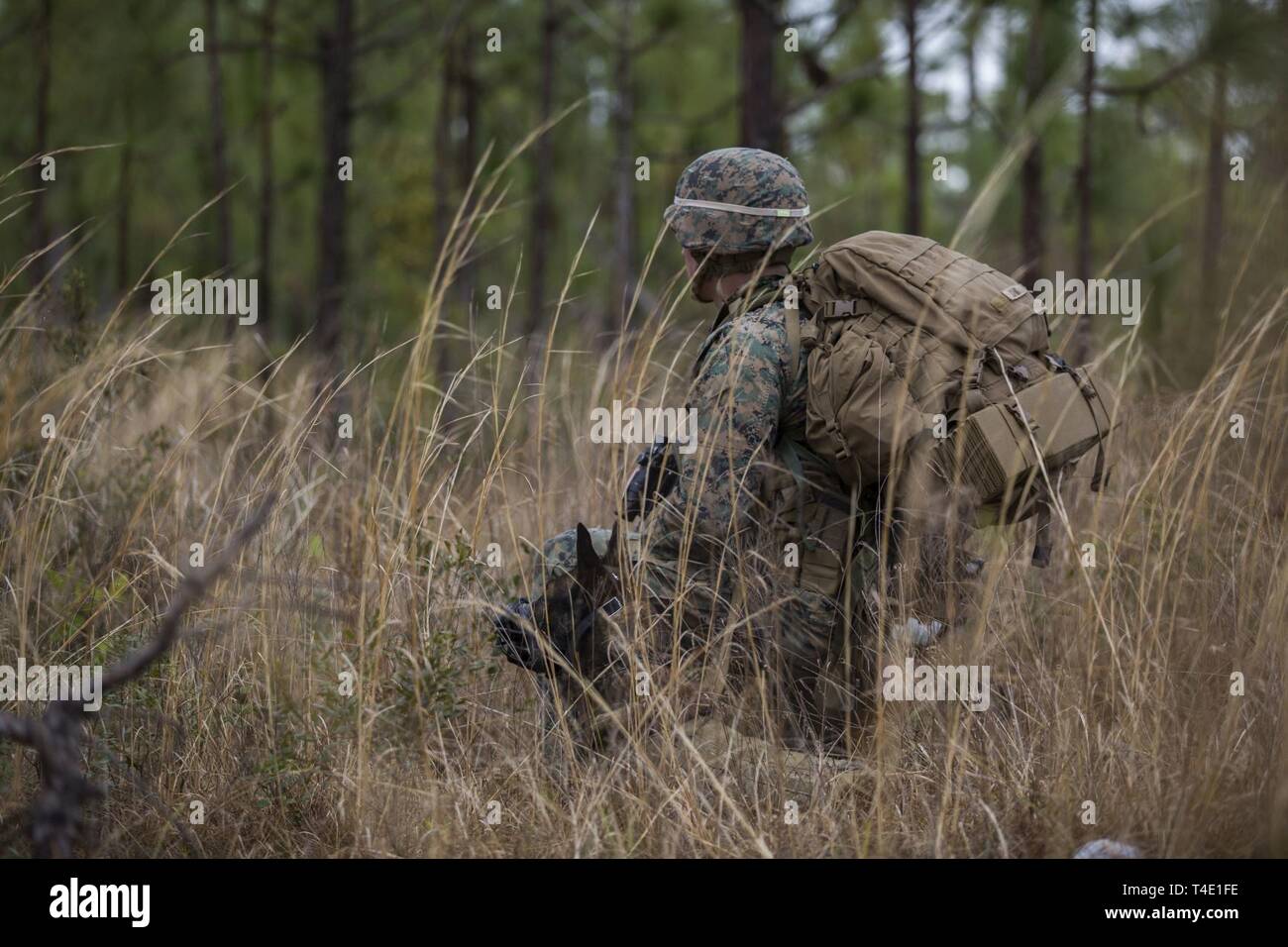 U s marine corps sgt bryce hi-res stock photography and images - Alamy