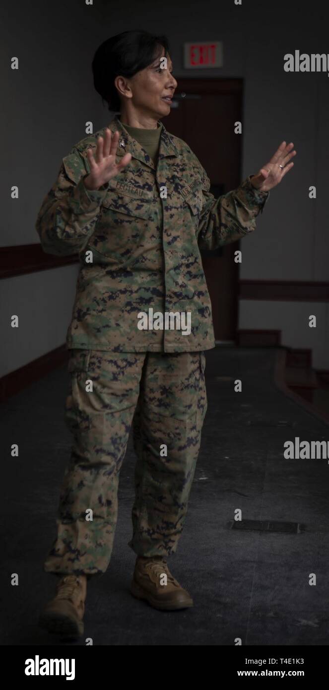 U.S. Marine Corps Col. Ly Fecteau, a logisticion assigned to Marine ...